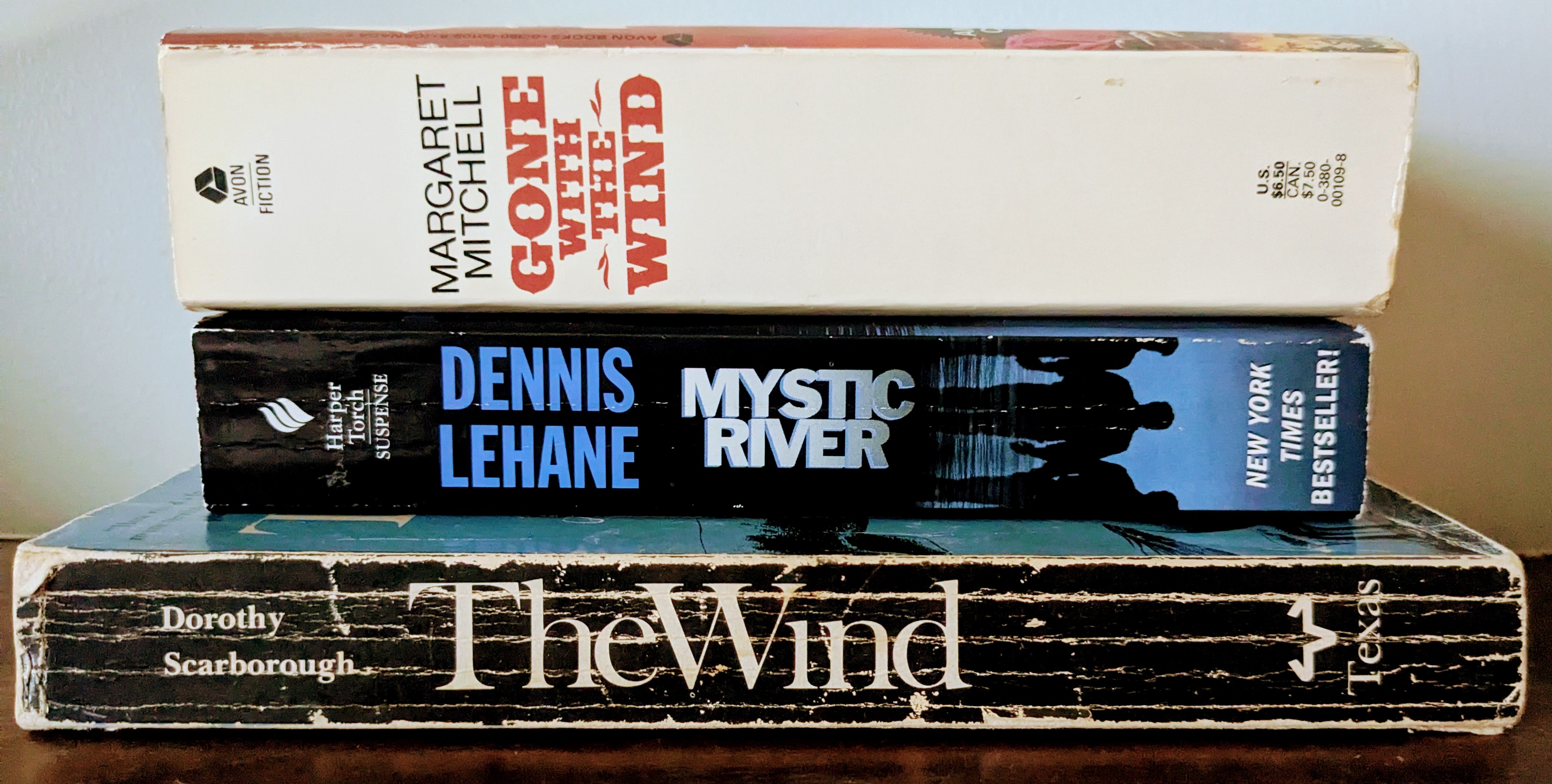 2025 Reading Challenge – L.M. Elm, Historical Novelist